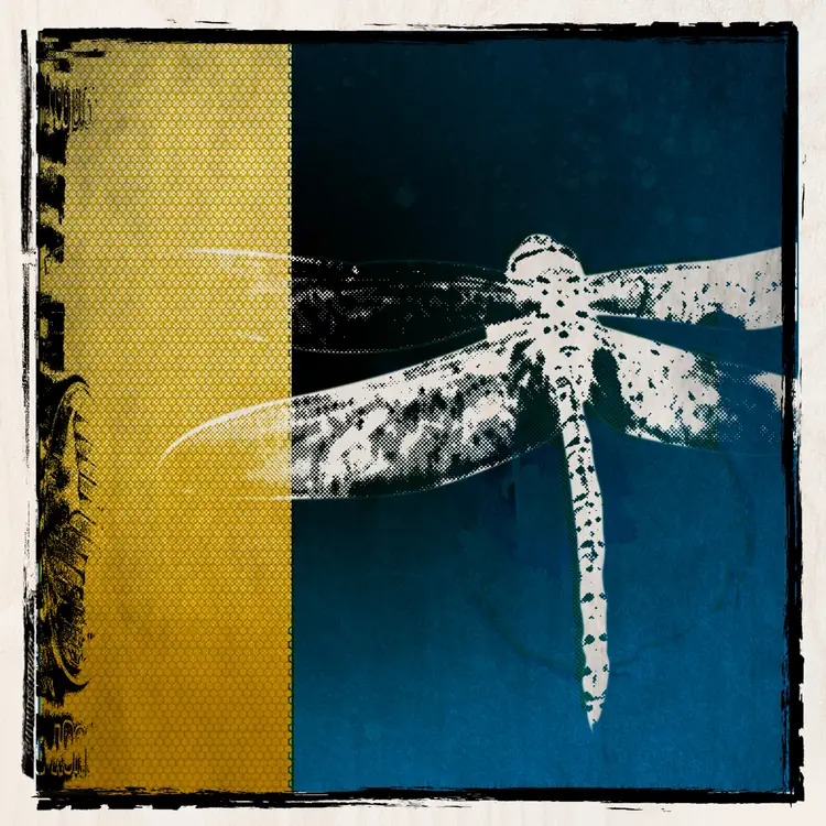 Steve Stratman – Artisphere